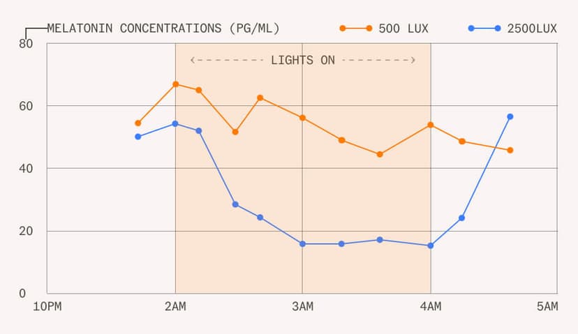 Daylight | The Definitive Guide to Blue Light | Daylight Blog