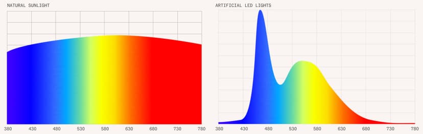 Daylight | The Definitive Guide to Blue Light | Daylight Blog